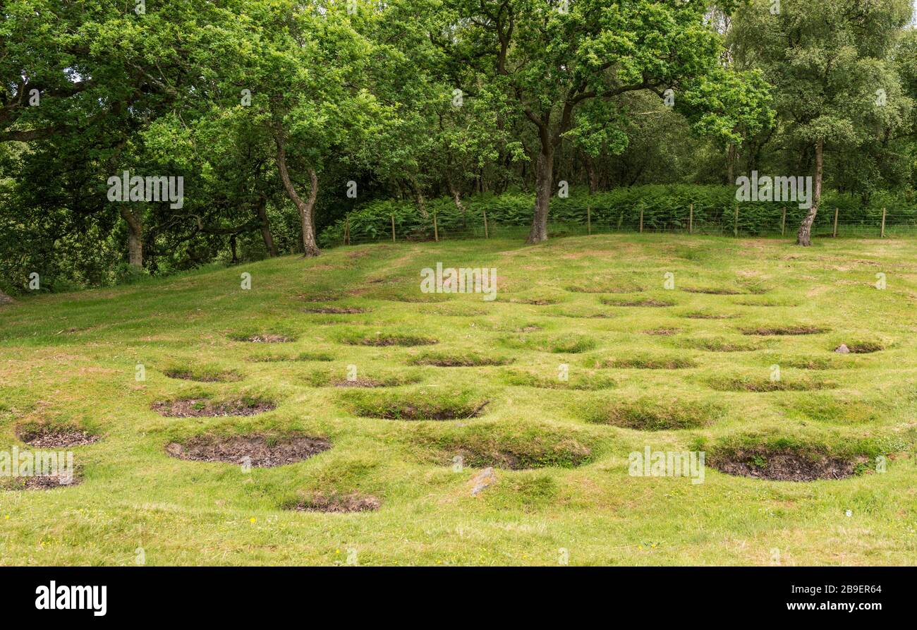 A series of pits called lilia contained sharpened stakes, positioned to ...