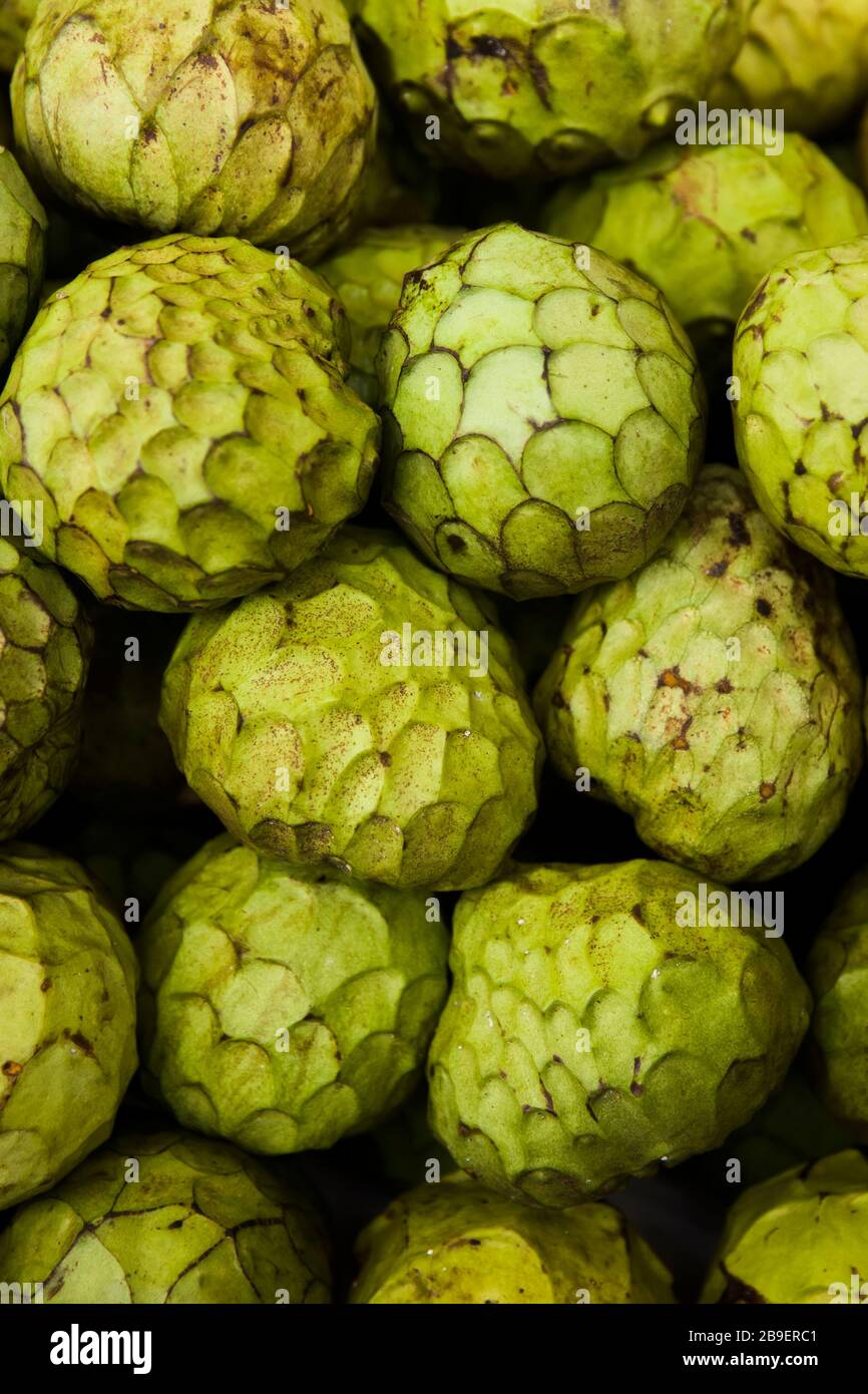 Anona Fruta Mexicana