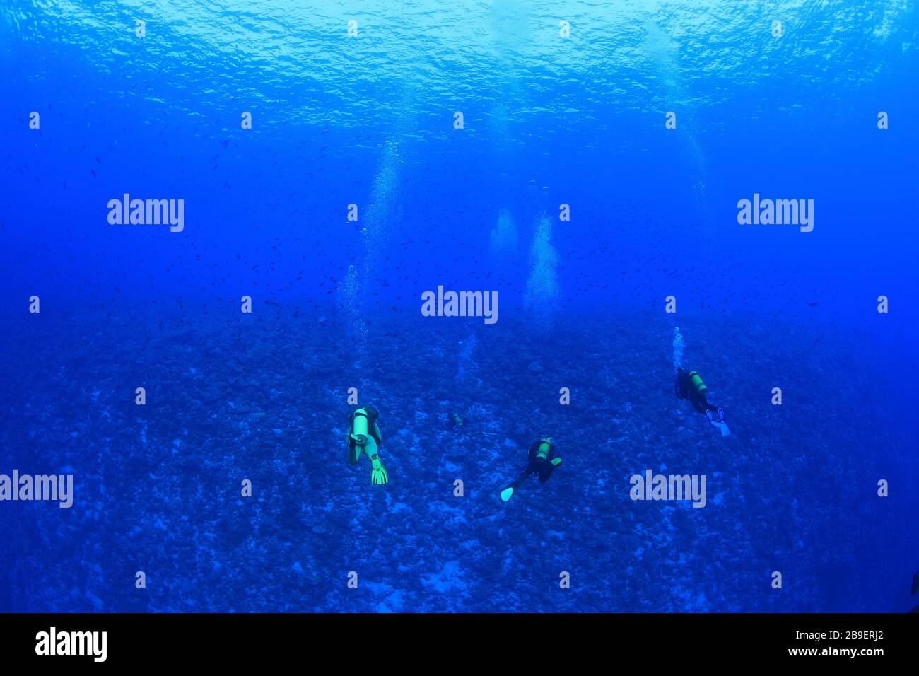 Scuba divers swimming underwater hi-res stock photography and images ...