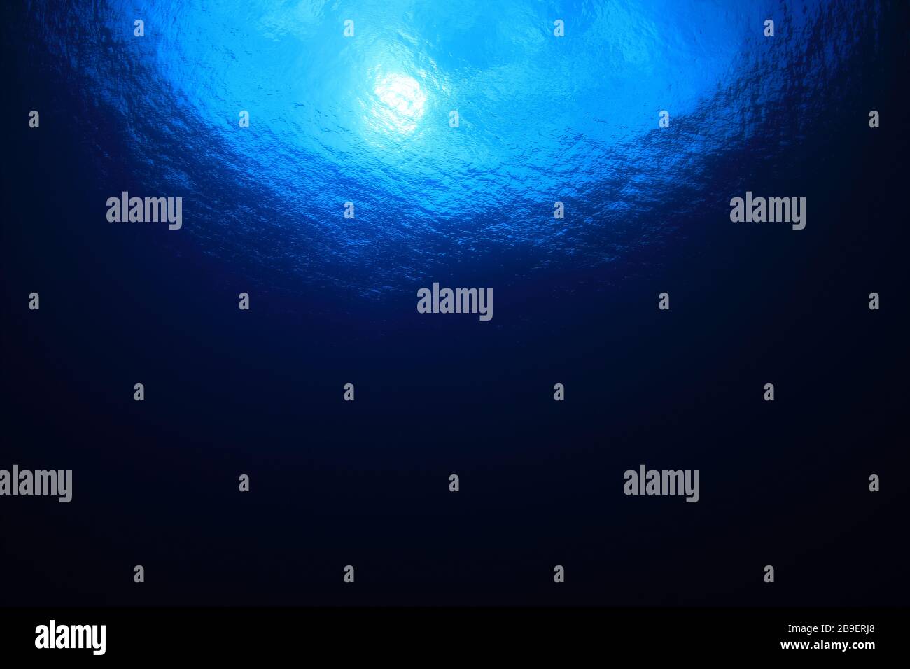 Underwater view of surface and sunlight in the ocean Stock Photo - Alamy