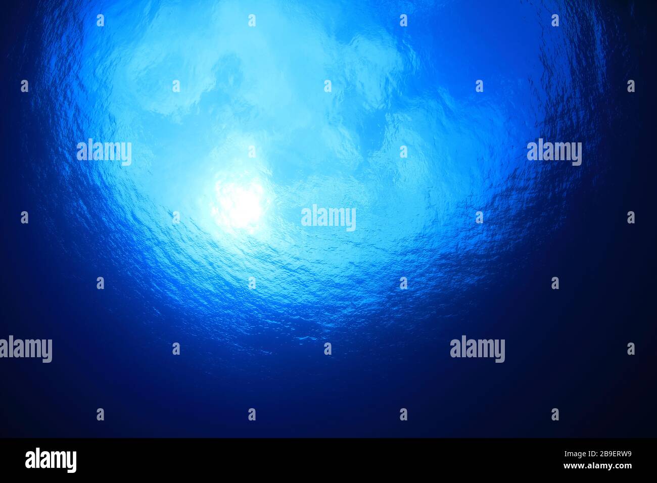 Underwater view of surface and sunlight in the ocean Stock Photo - Alamy