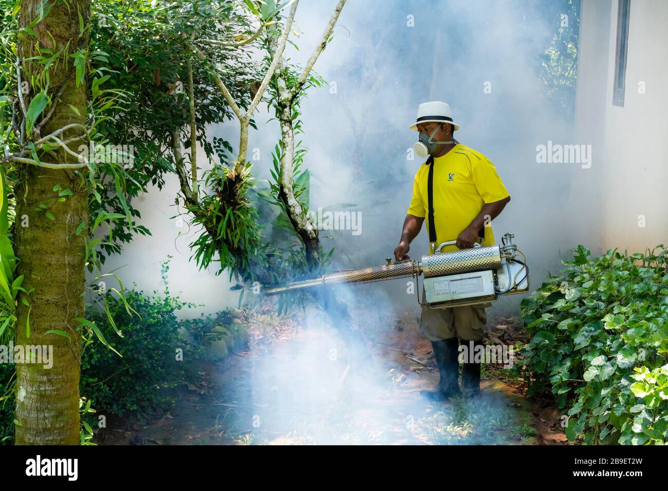 Thailand, Phuket, March 20, 2020: a Gardener does poison acts by ...
