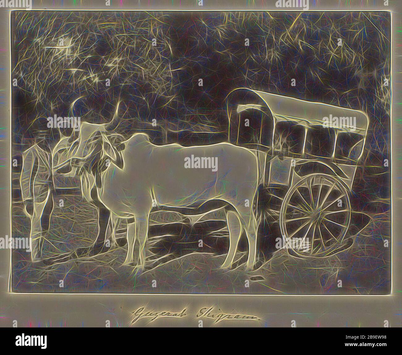 Gazerat Shigram, India, 1886 - 1889, Albumen silver print Stock Photo ...