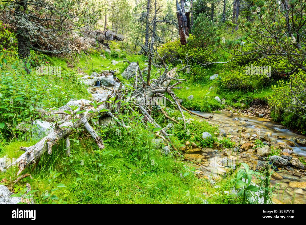 Exploring the water hi-res stock photography and images - Alamy