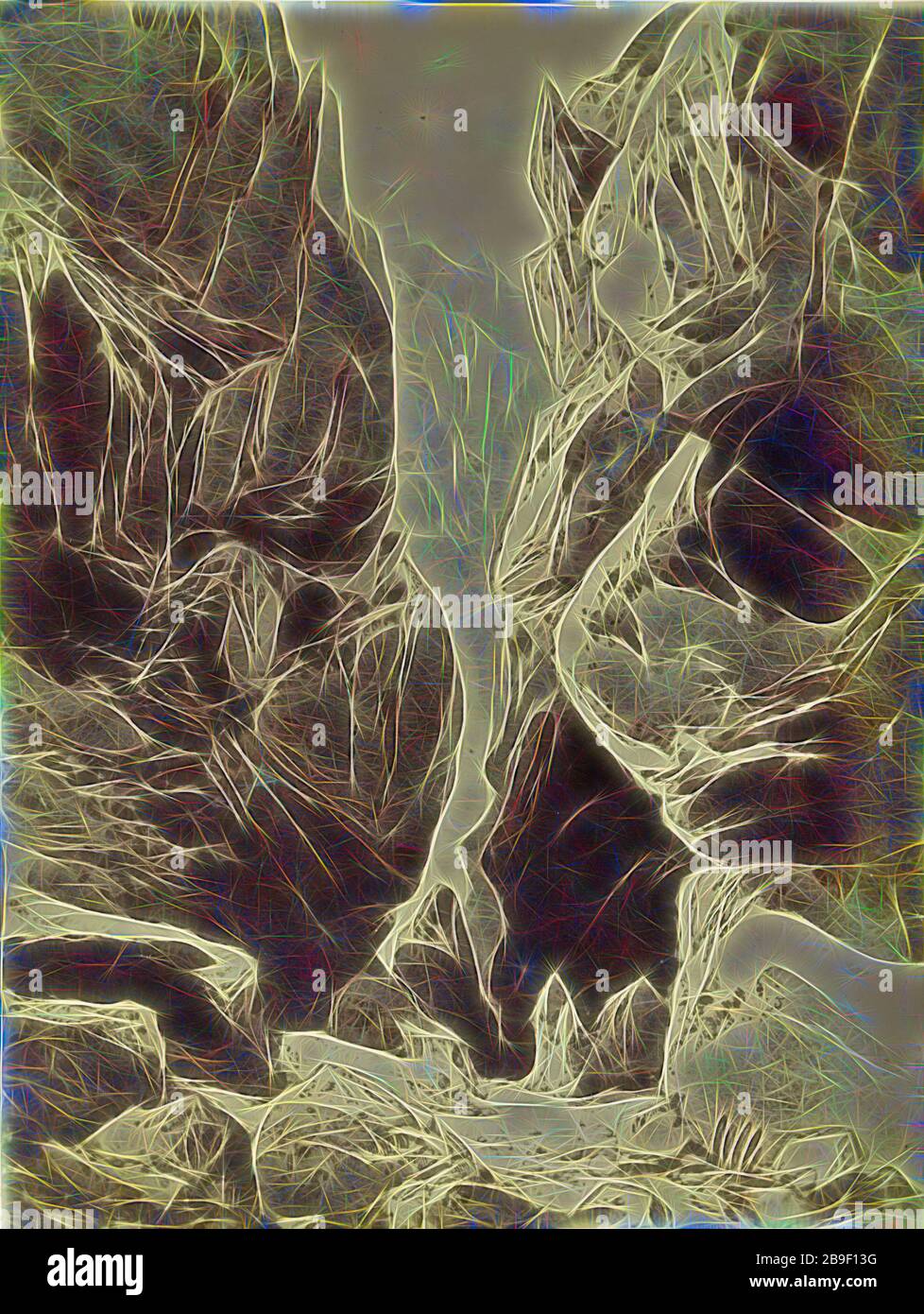 Abyssinia. Near Sooroo Pass, about 1867 - 1868, Albumen silver print ...