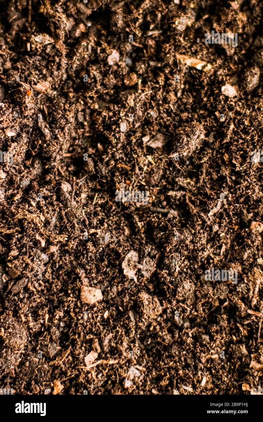Earth ground texture as background, nature and environmental backdrop ...