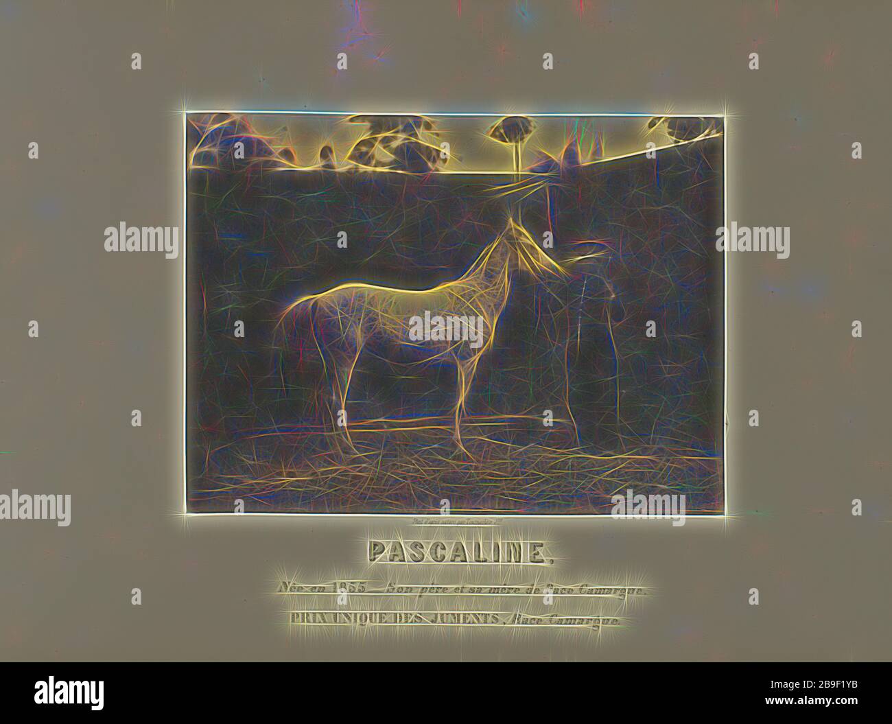 Pascaline hi-res stock photography and images - Alamy