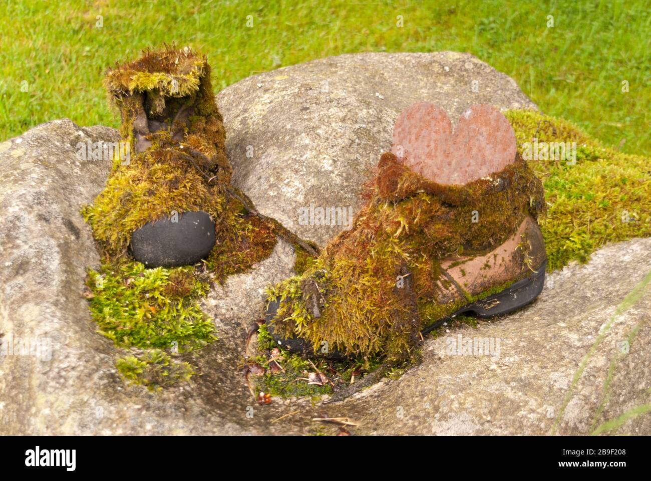 Detail in a german Forest Stock Photo - Alamy
