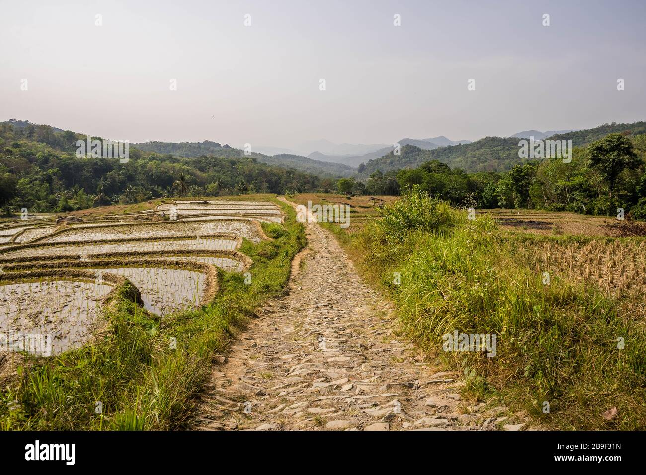 Java road hi-res stock photography and images - Alamy