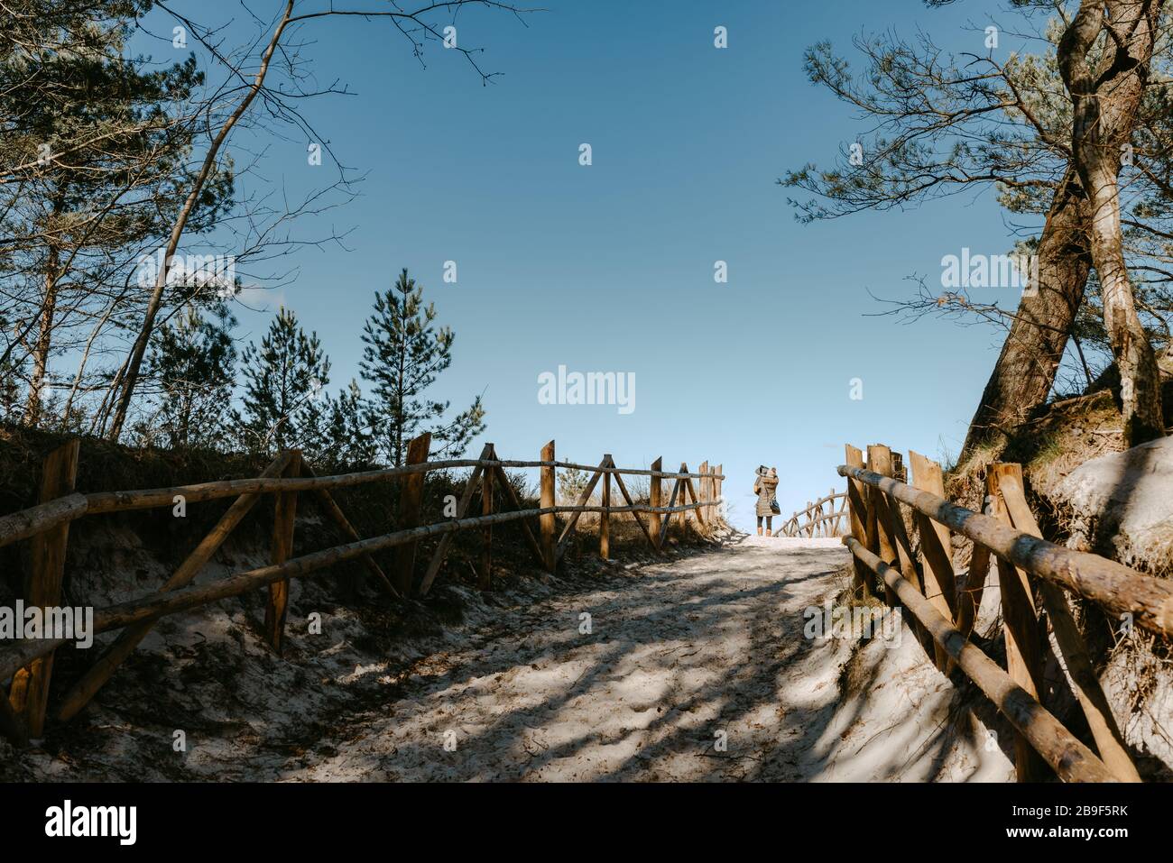 Spring landscape on the beach at noon Stock Photo - Alamy