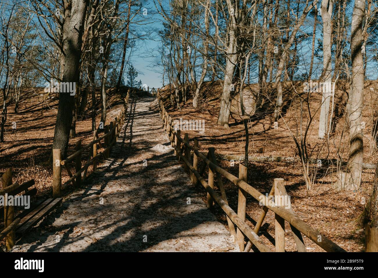Spring landscape on the beach at noon Stock Photo - Alamy