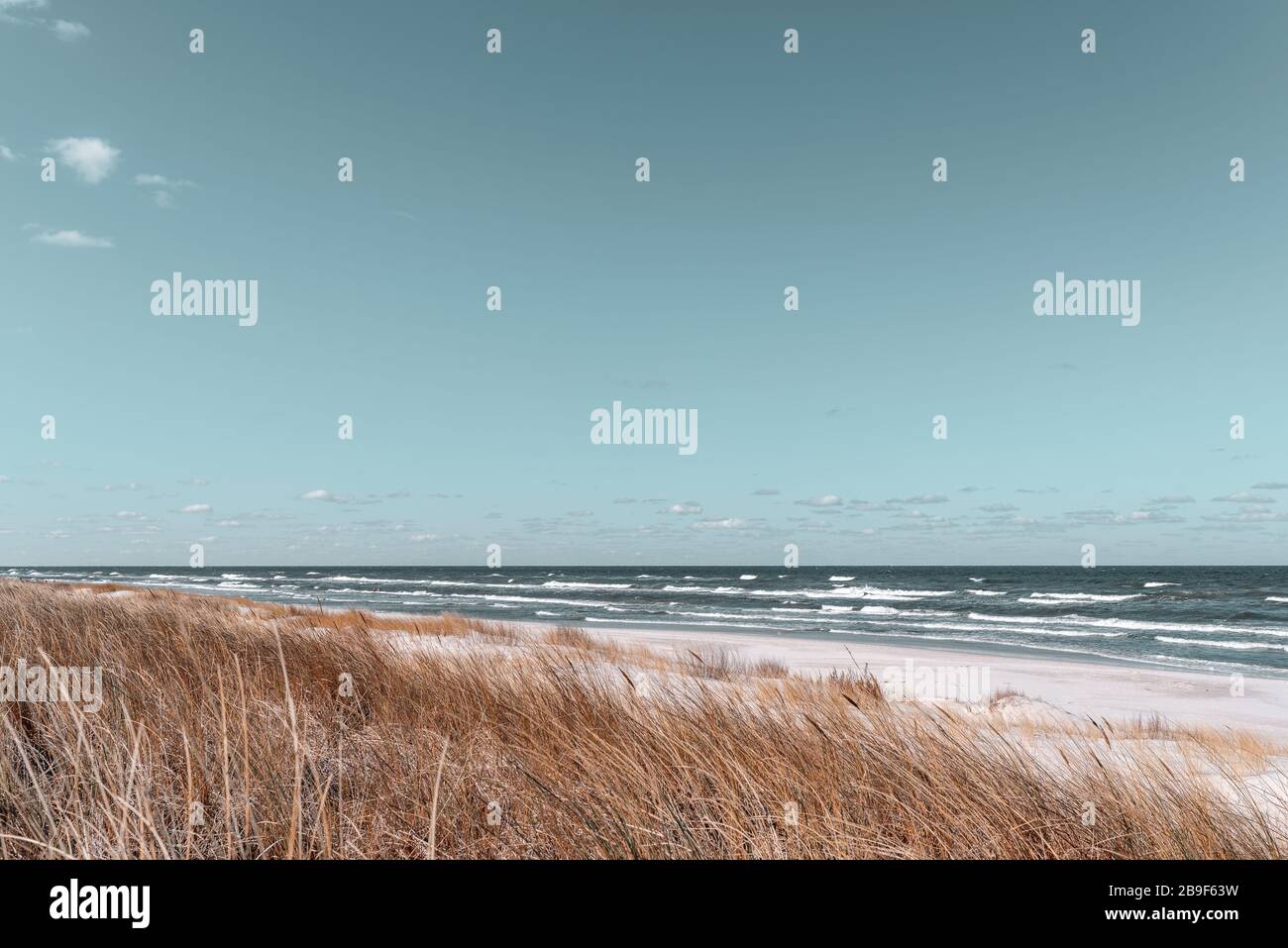 Spring landscape on the beach at noon Stock Photo - Alamy