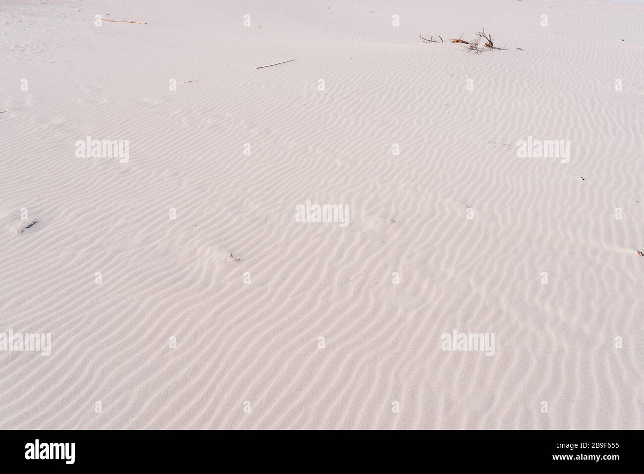 sand texture on the beach Stock Photo - Alamy