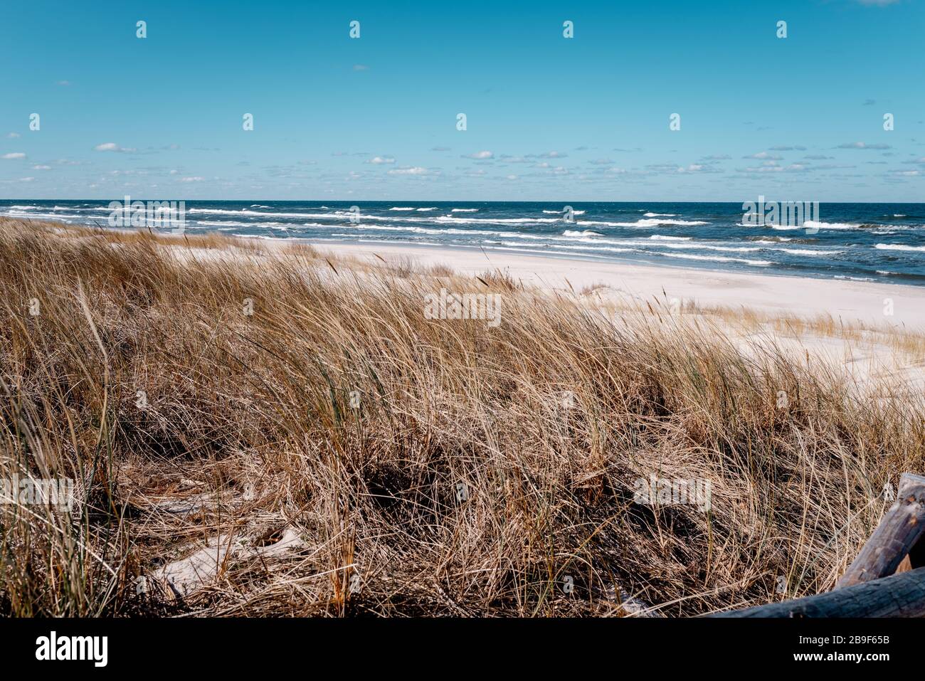 Spring landscape on the beach at noon Stock Photo - Alamy
