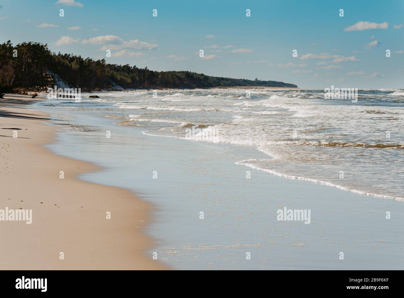 Spring landscape on the beach at noon Stock Photo - Alamy