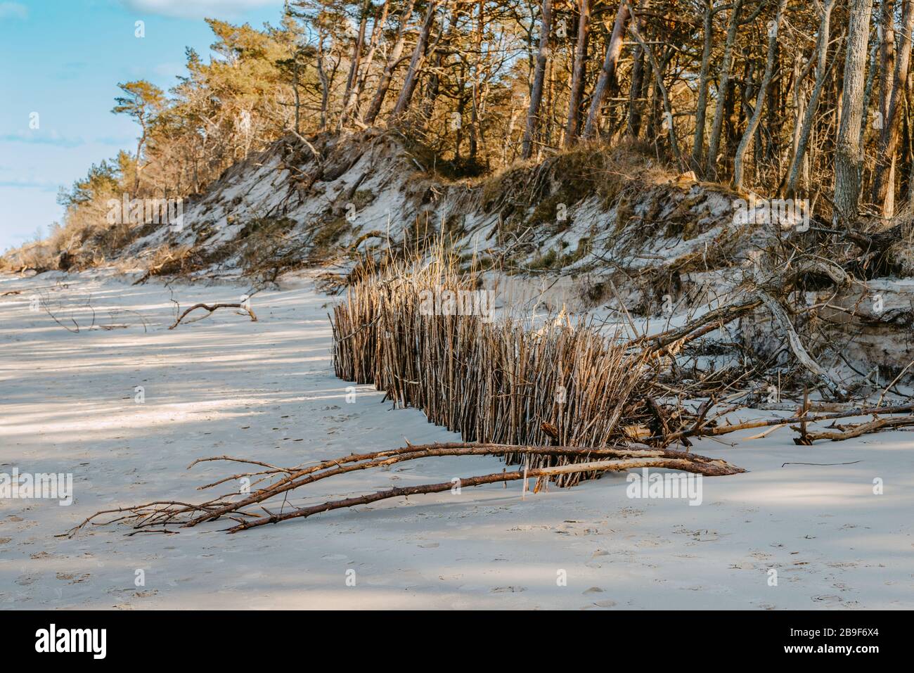Spring landscape on the beach at noon Stock Photo - Alamy