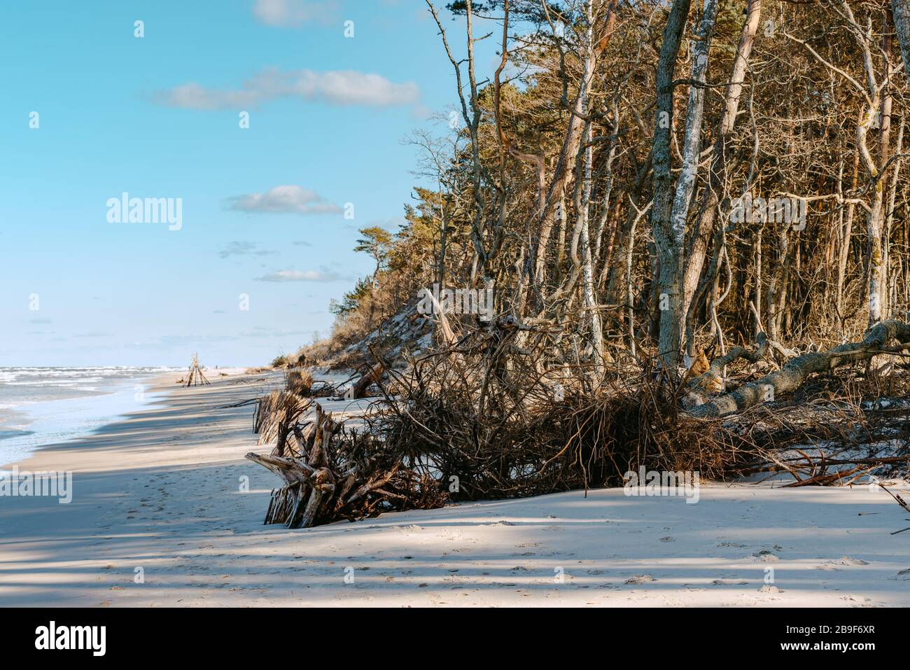 Spring landscape on the beach at noon Stock Photo - Alamy