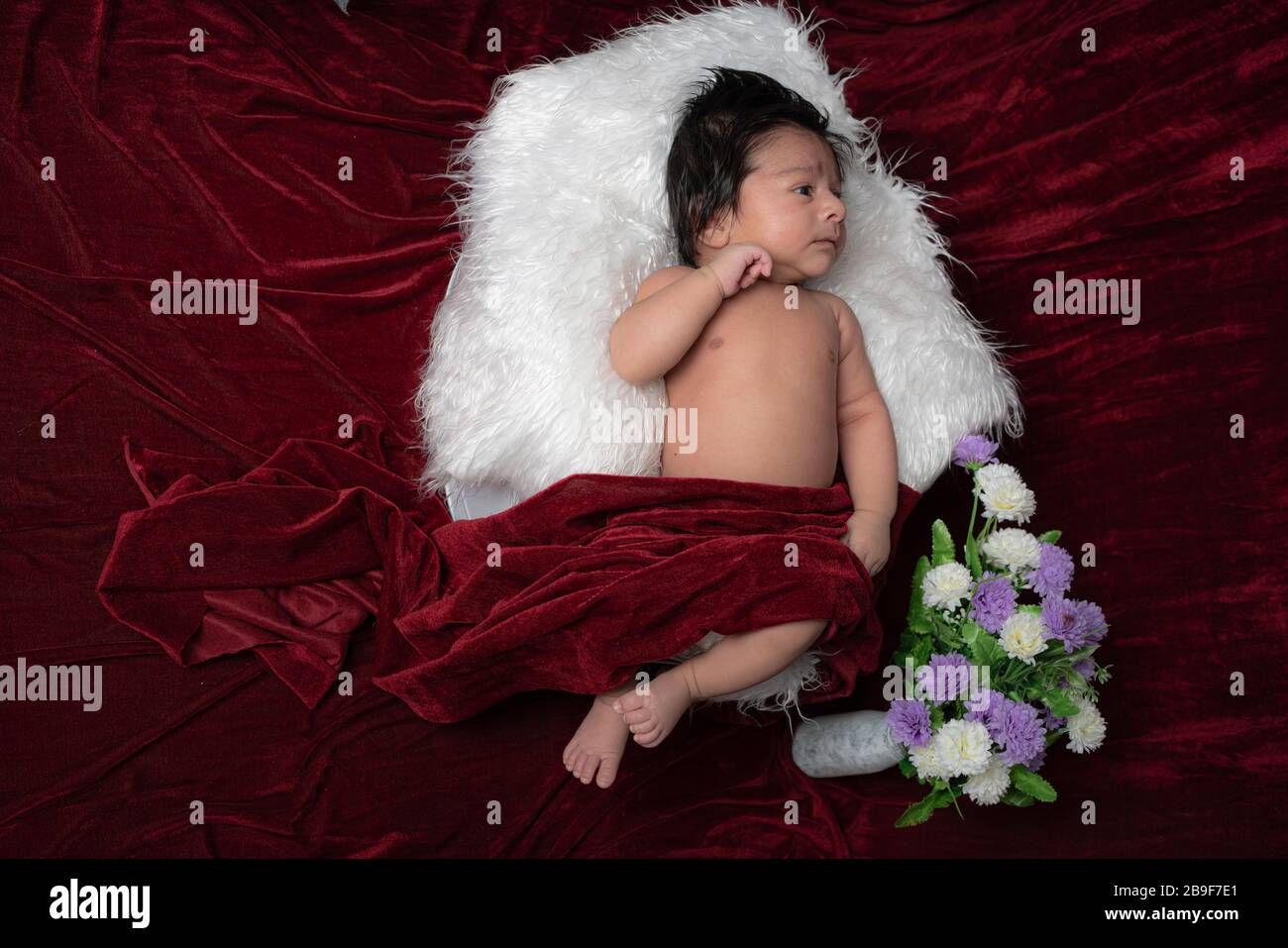 Curious pose hi-res stock photography and images - Alamy