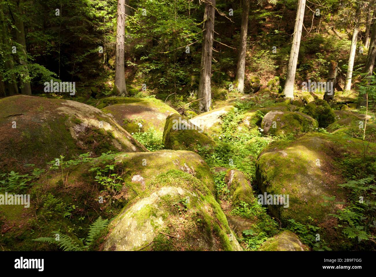 Nature Reserve Doost in Upper Palatinate in Germany Stock Photo - Alamy