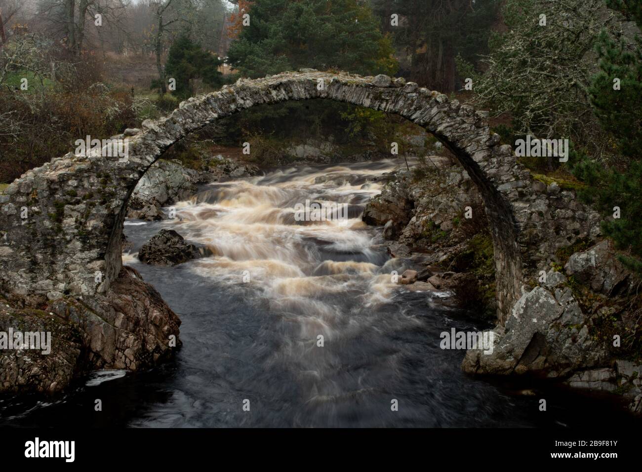 Carrbridge cairngorms hi-res stock photography and images - Alamy