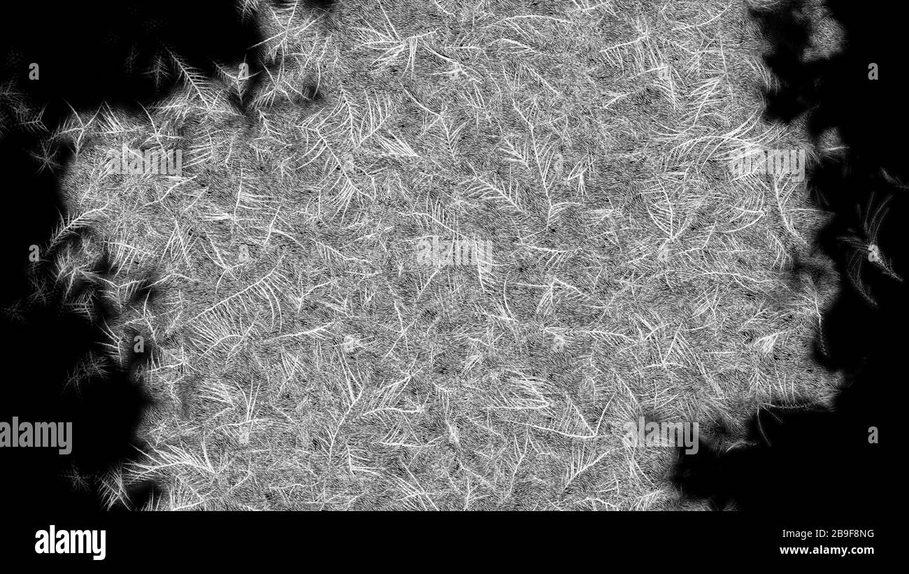 Frosted frame from Center to the Borders. Frosted patterns on the glass ...