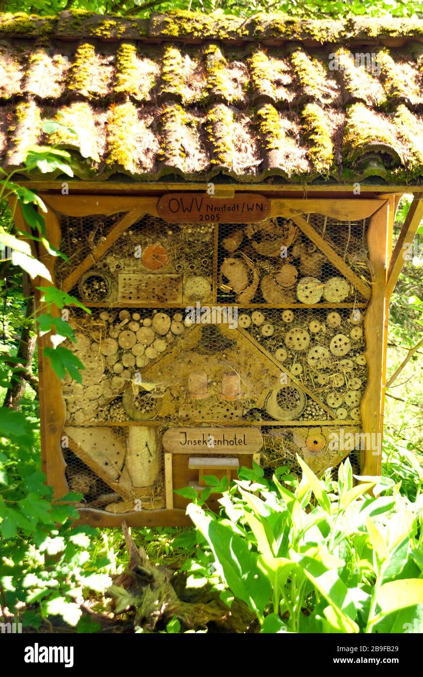 Insect Refuge in a Forest Stock Photo - Alamy