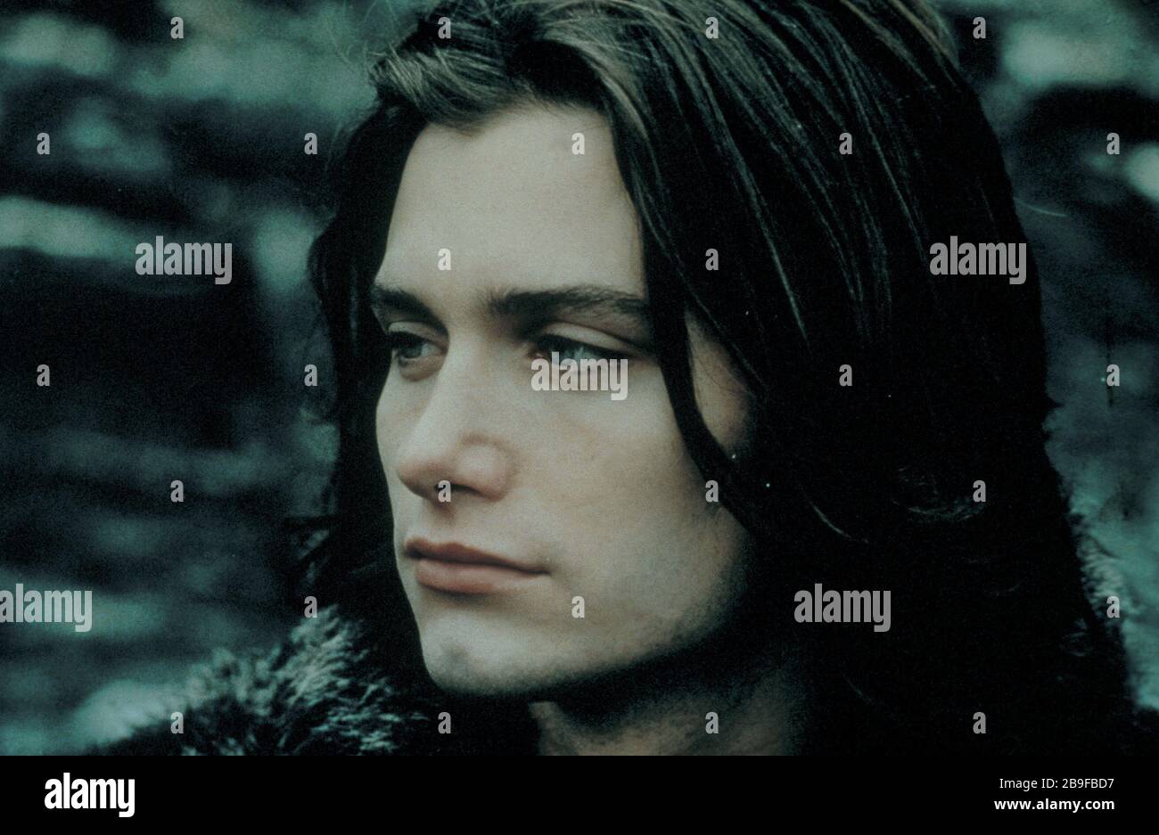 the wolves of kromer Stock Photo - Alamy