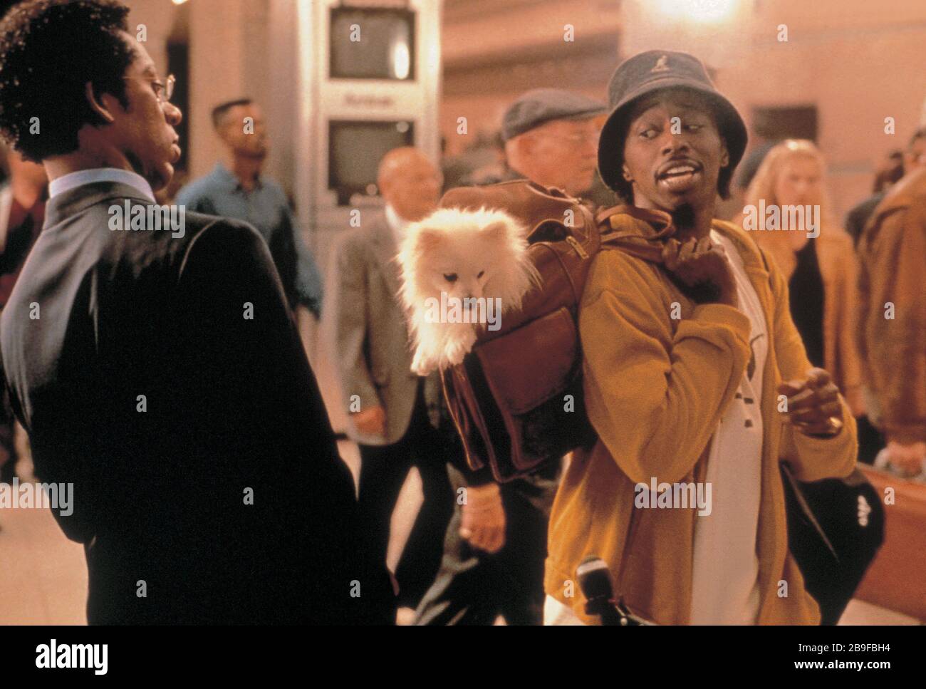 Double take 2001 hi-res stock photography and images - Alamy