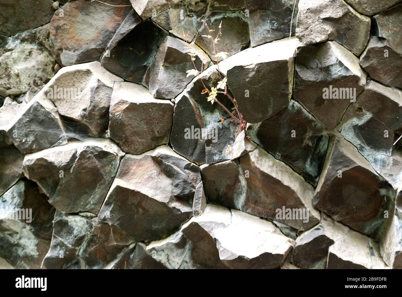 Volcano Parkstein in Upper Palatinate in Germany Stock Photo - Alamy