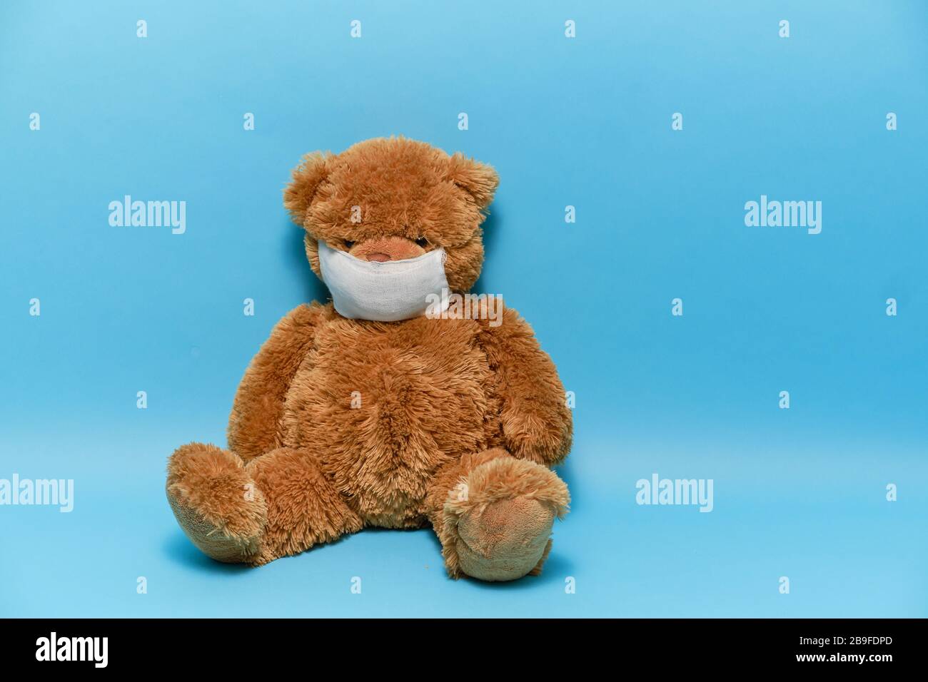 Bacteria bear hi-res stock photography and images - Alamy