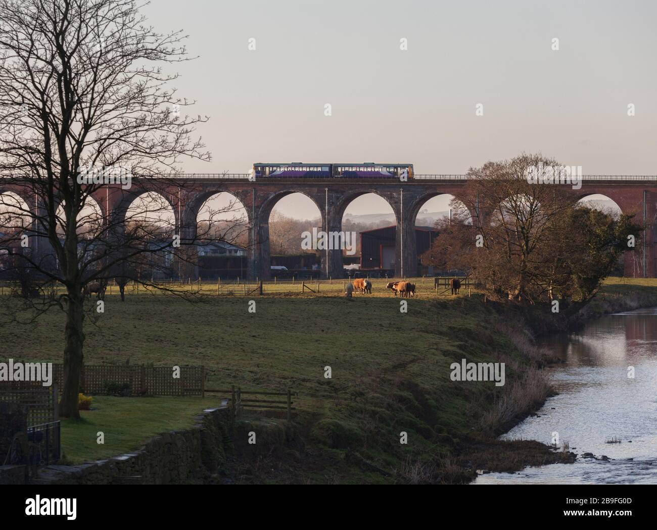 Northern rail class 142 pacer train crossing the brick Whalley viaduct ...