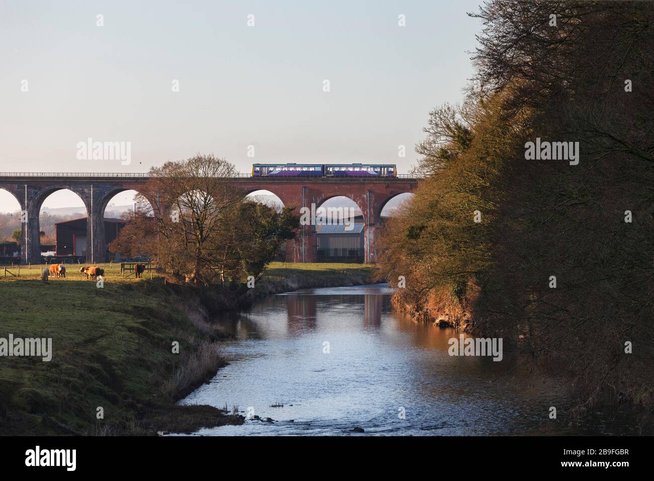 Northern rail class 142 pacer train crossing the brick Whalley viaduct ...
