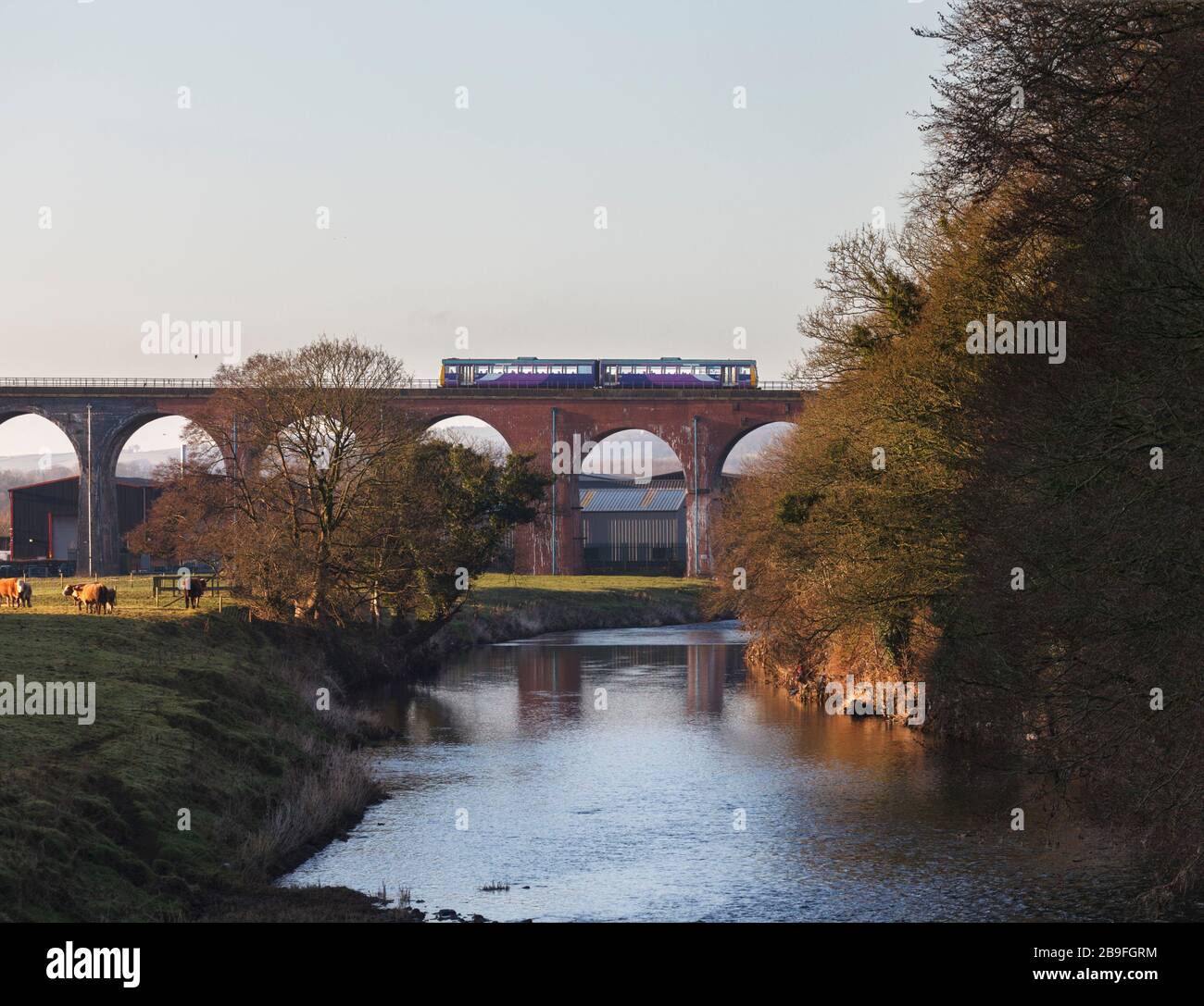 Northern rail class 142 pacer train crossing the brick Whalley viaduct ...