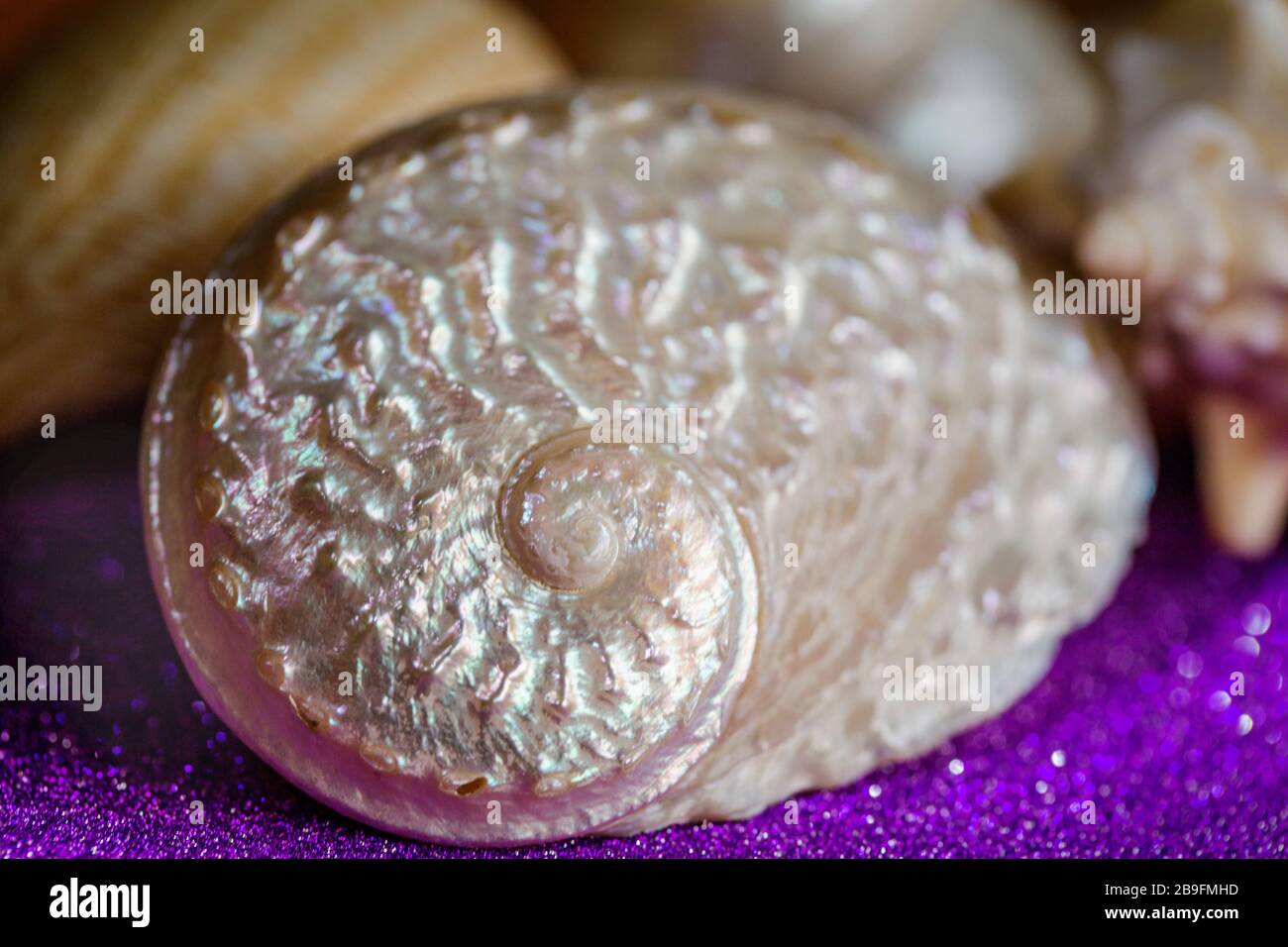 Irridescent texture hi-res stock photography and images - Alamy