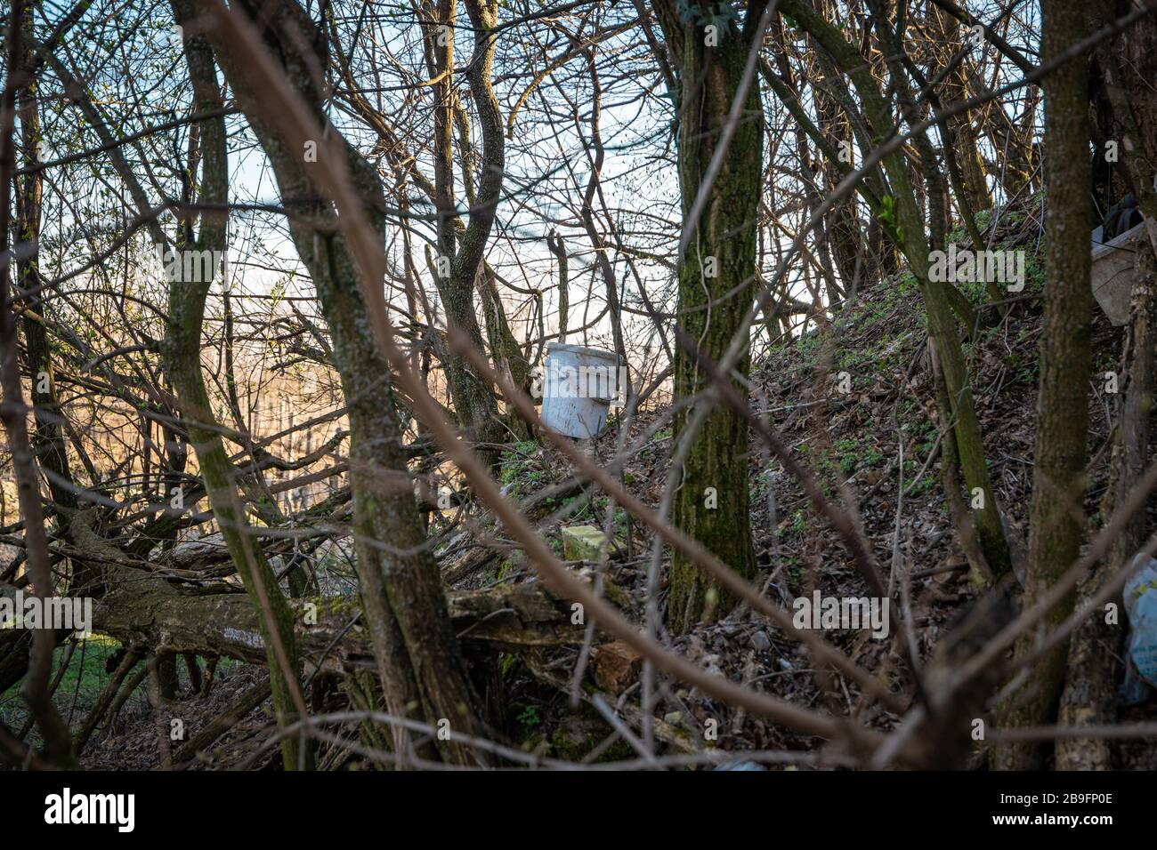 Bucket and other garbage left over in nature Stock Photo - Alamy