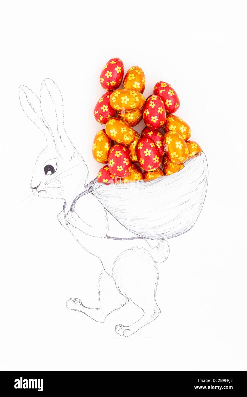 Real bunny hi-res stock photography and images - Alamy