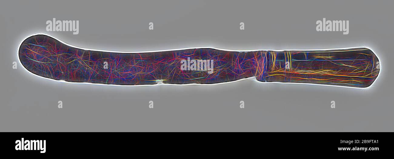 Curved Blade High Resolution Stock Photography and Images - Alamy