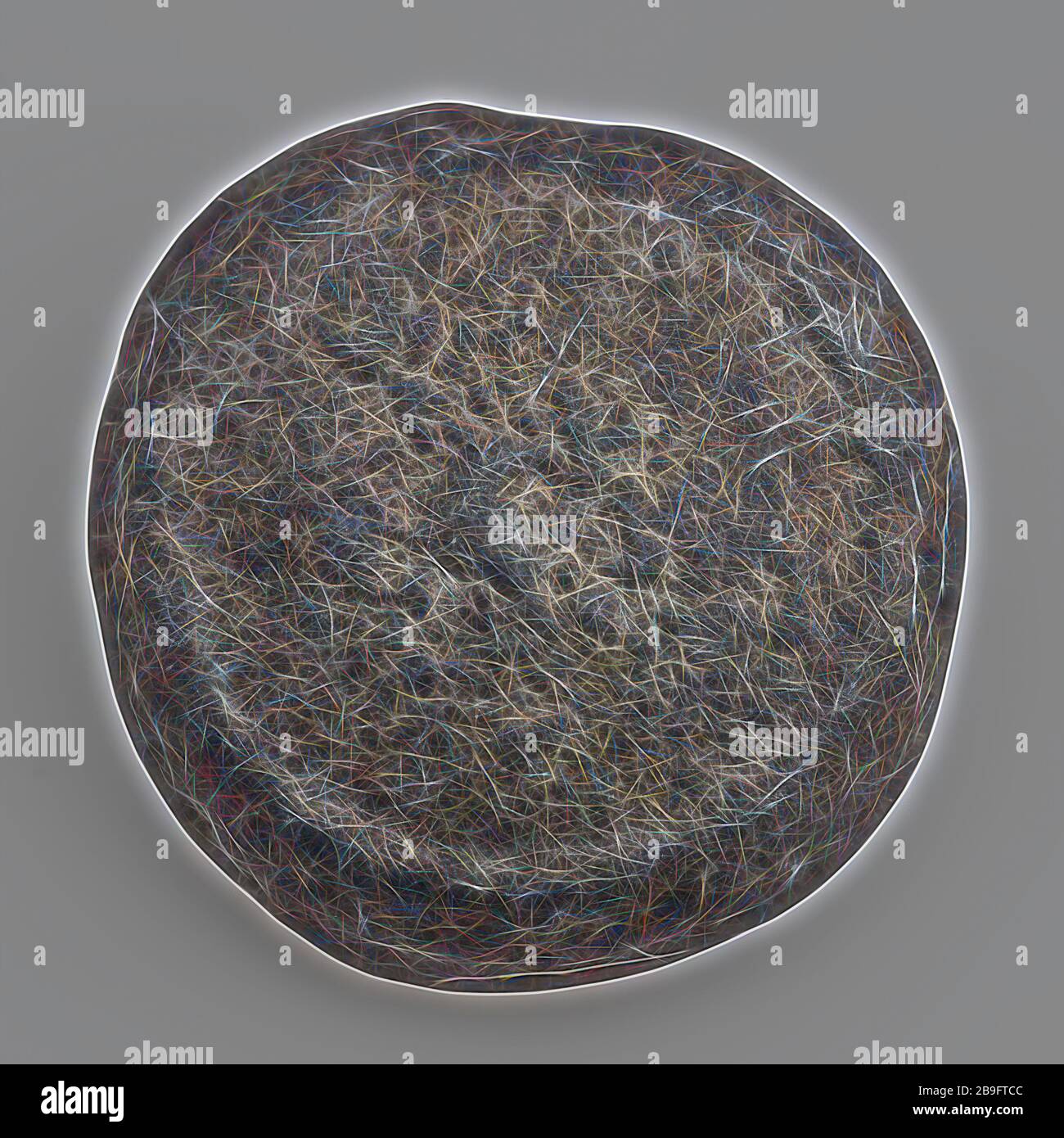 Stone Flat Disk High Resolution Stock Photography and Images - Alamy
