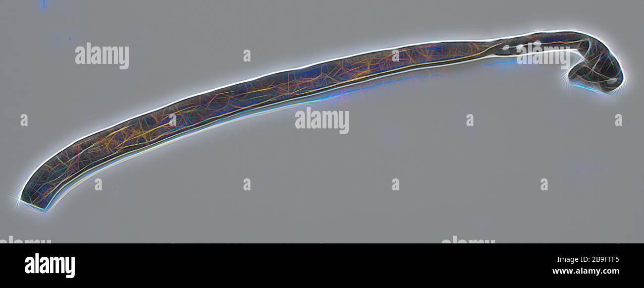 Fragment of ear iron, ear iron regional costume ornament clothing ...