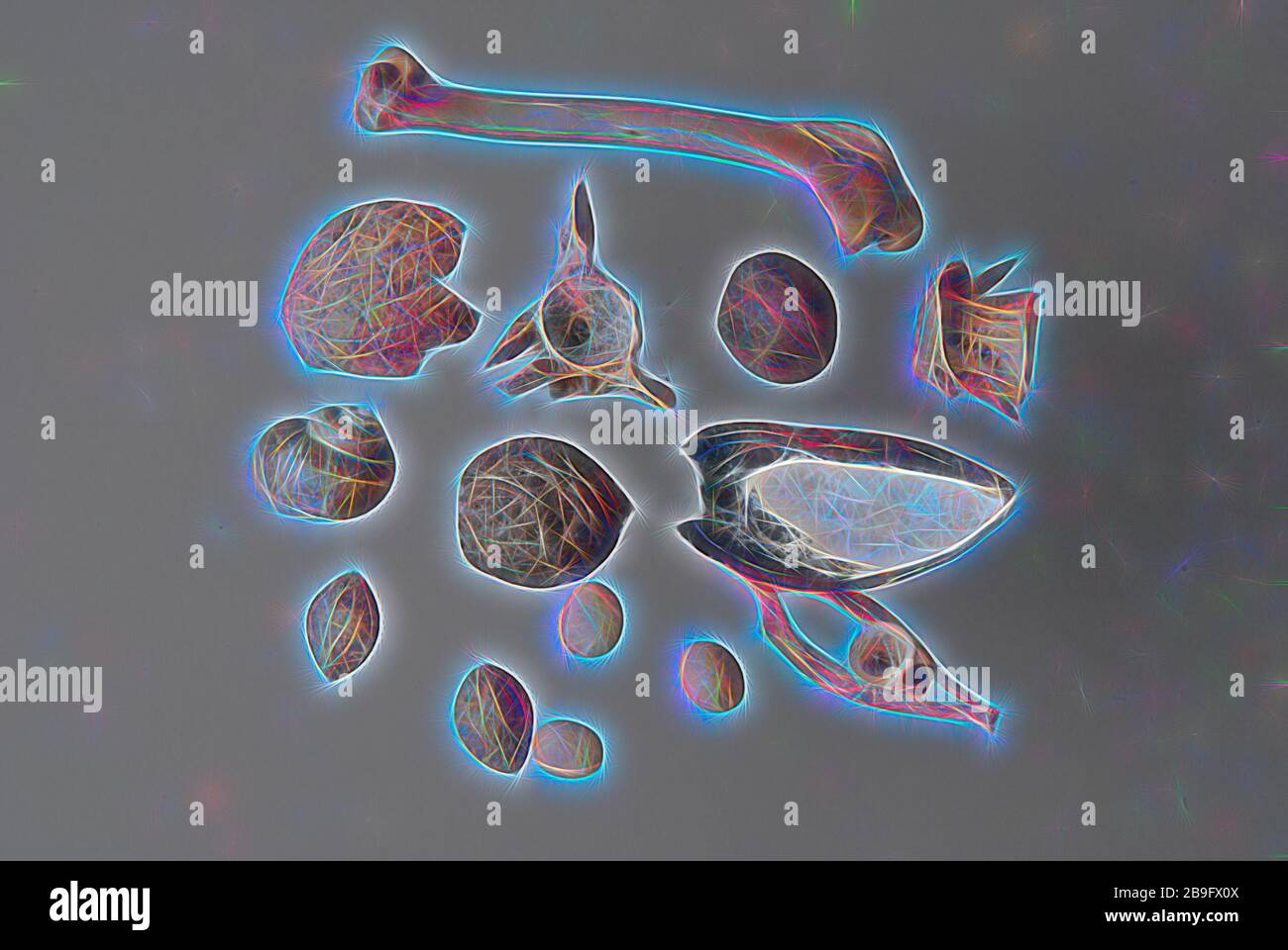 Fish vertebrae hi-res stock photography and images - Alamy