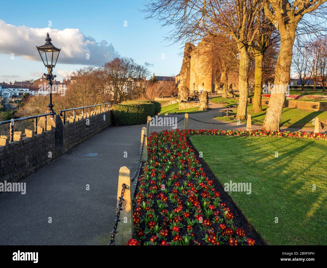 Spring flowers and the Kings Tower at Knaresborough Castle at sunset ...