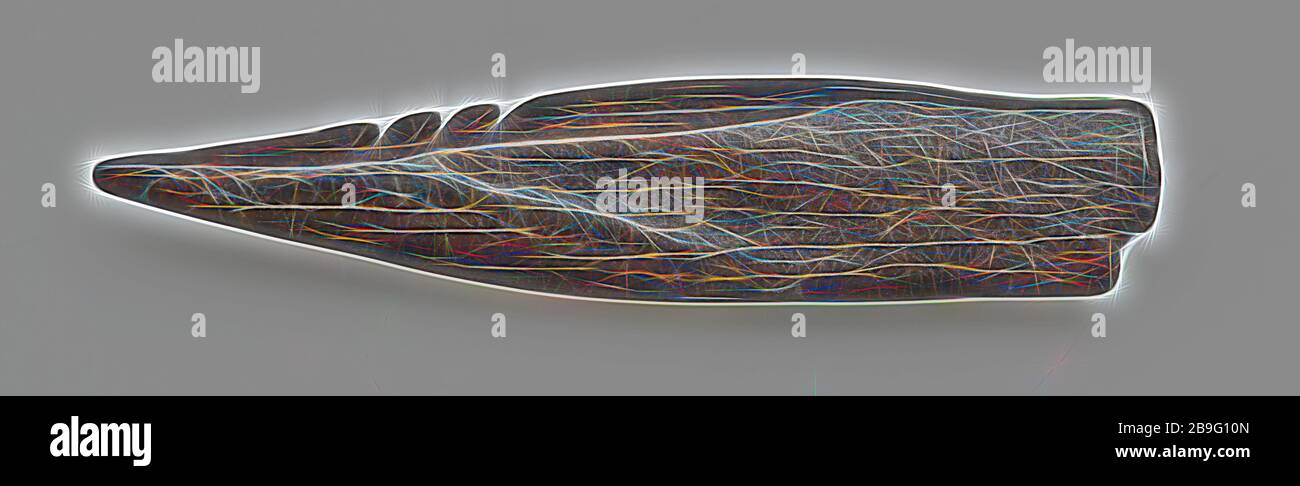 Legs pointed with three barbs, pointed harpoon soil found leg, sawn cut ...