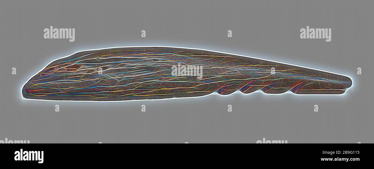 Large legs pointed with four barbs, pointed harpoon soil found bone ...