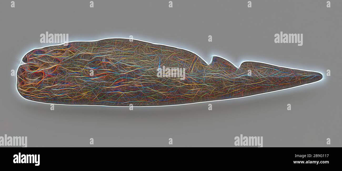 Small legs pointed with two barbs, pointed harpoon soil found bone ...