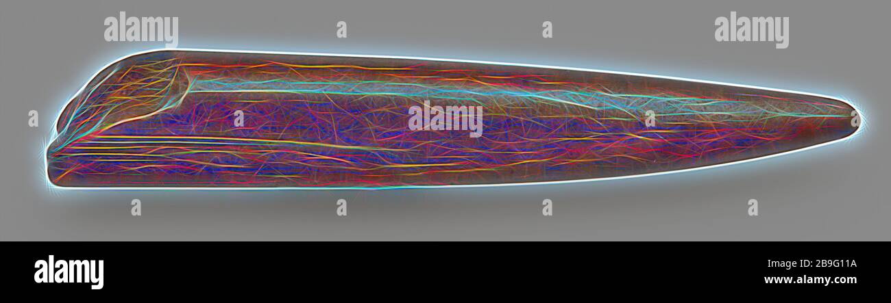 Point of legs awl, awl tool tools soil find leg, sawn cut cut Late ...