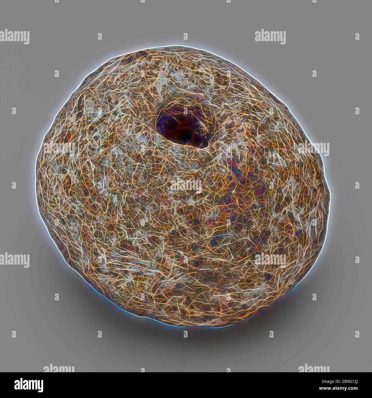 Lead bead or line reinforcement, fishing lead or spindle, bead ...