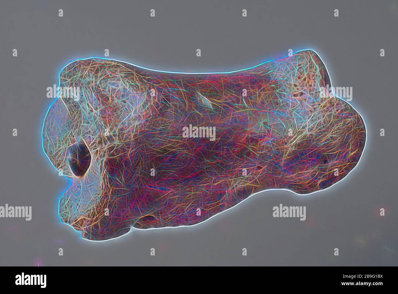 Dredging stuffed hi-res stock photography and images - Alamy