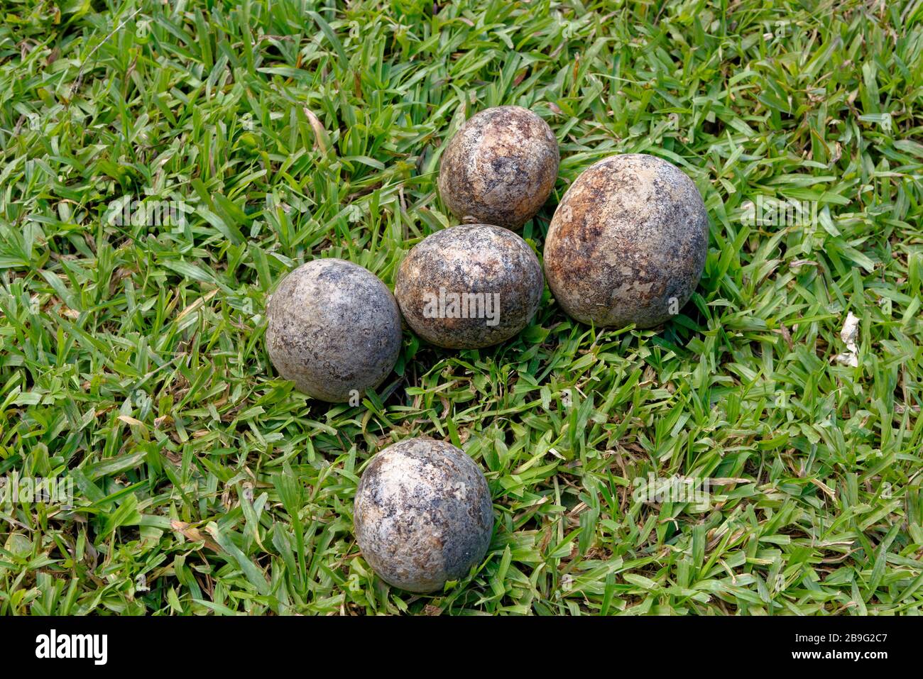 Old native cuban objects used in shamanic rituals - Vinales, Cuba Stock ...