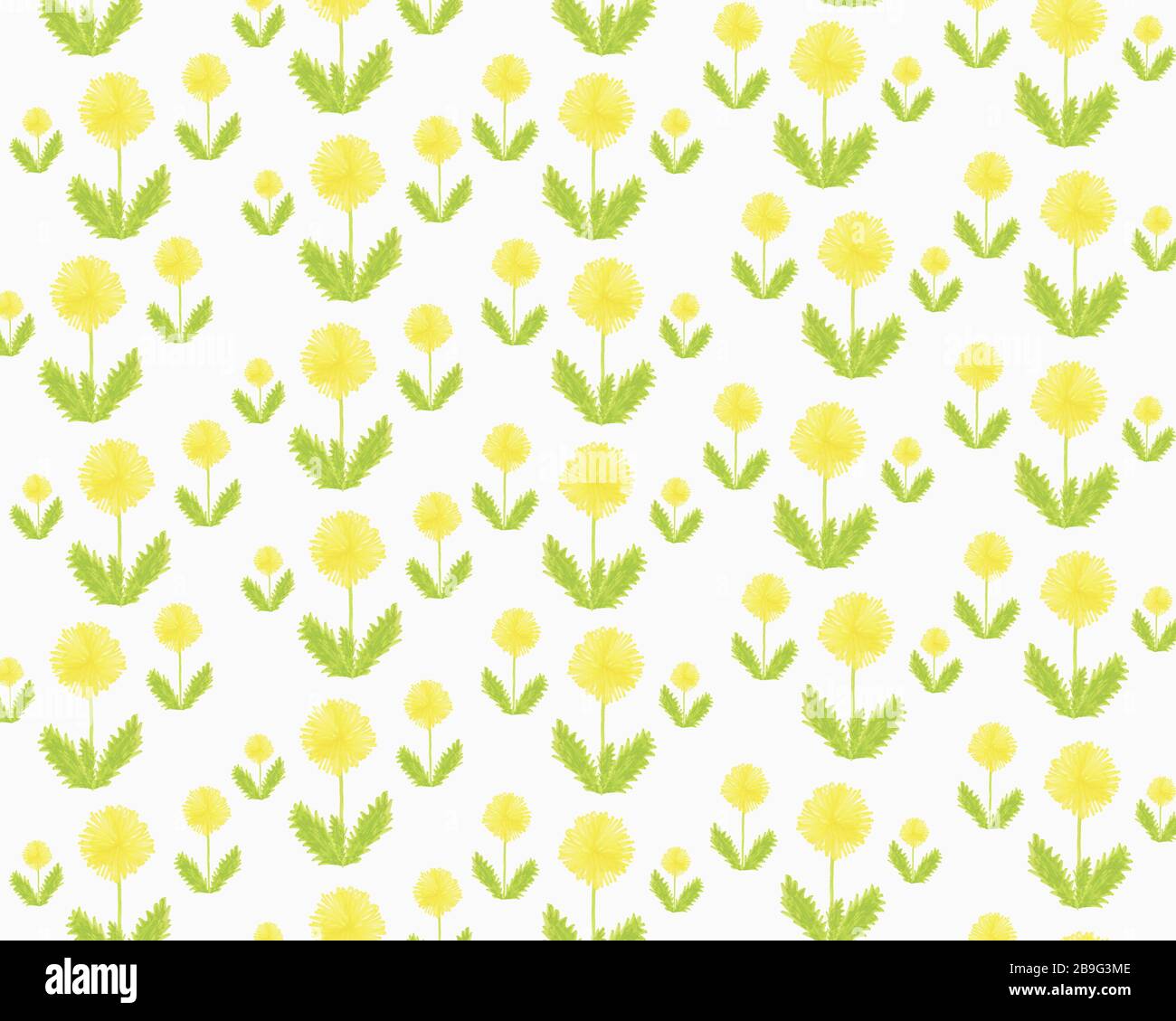 Illustration of yellow dandelion flowers on white background Stock ...