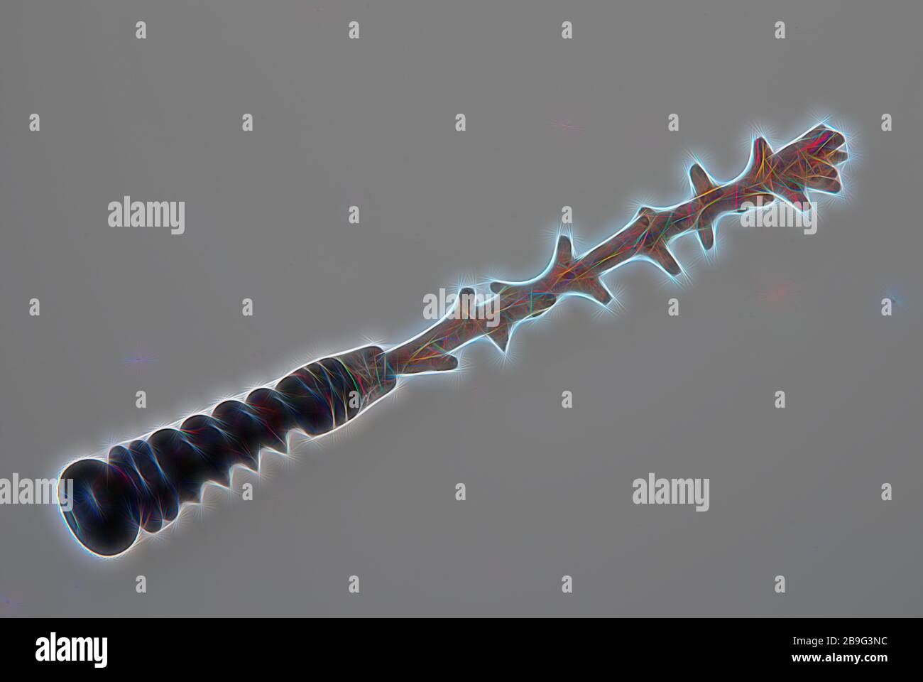 Coral farewell hi-res stock photography and images - Alamy